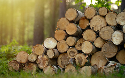 Timber Frame Specialists In Ipswich Suffolk